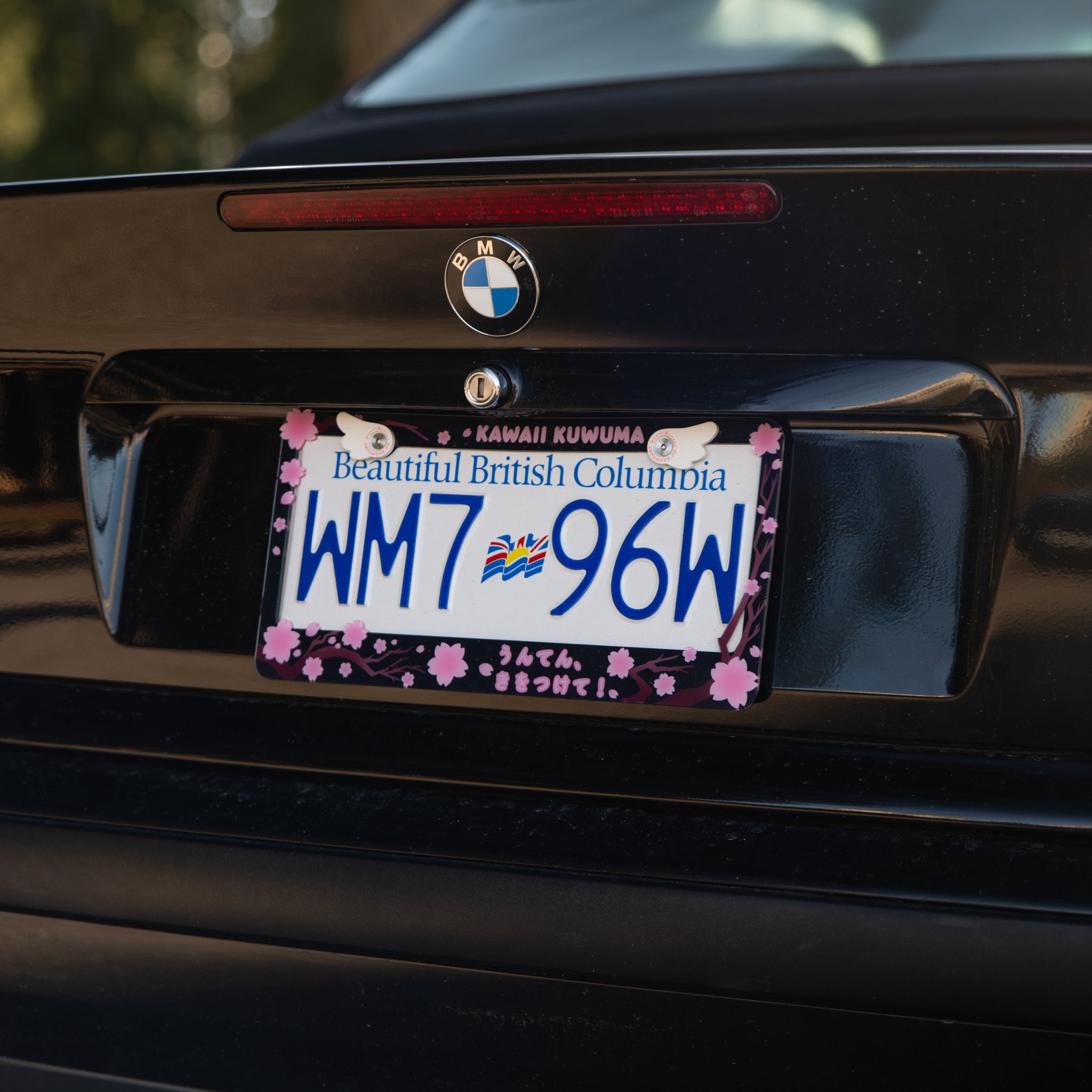 Cherry Blossom Sakura License Plate Frame